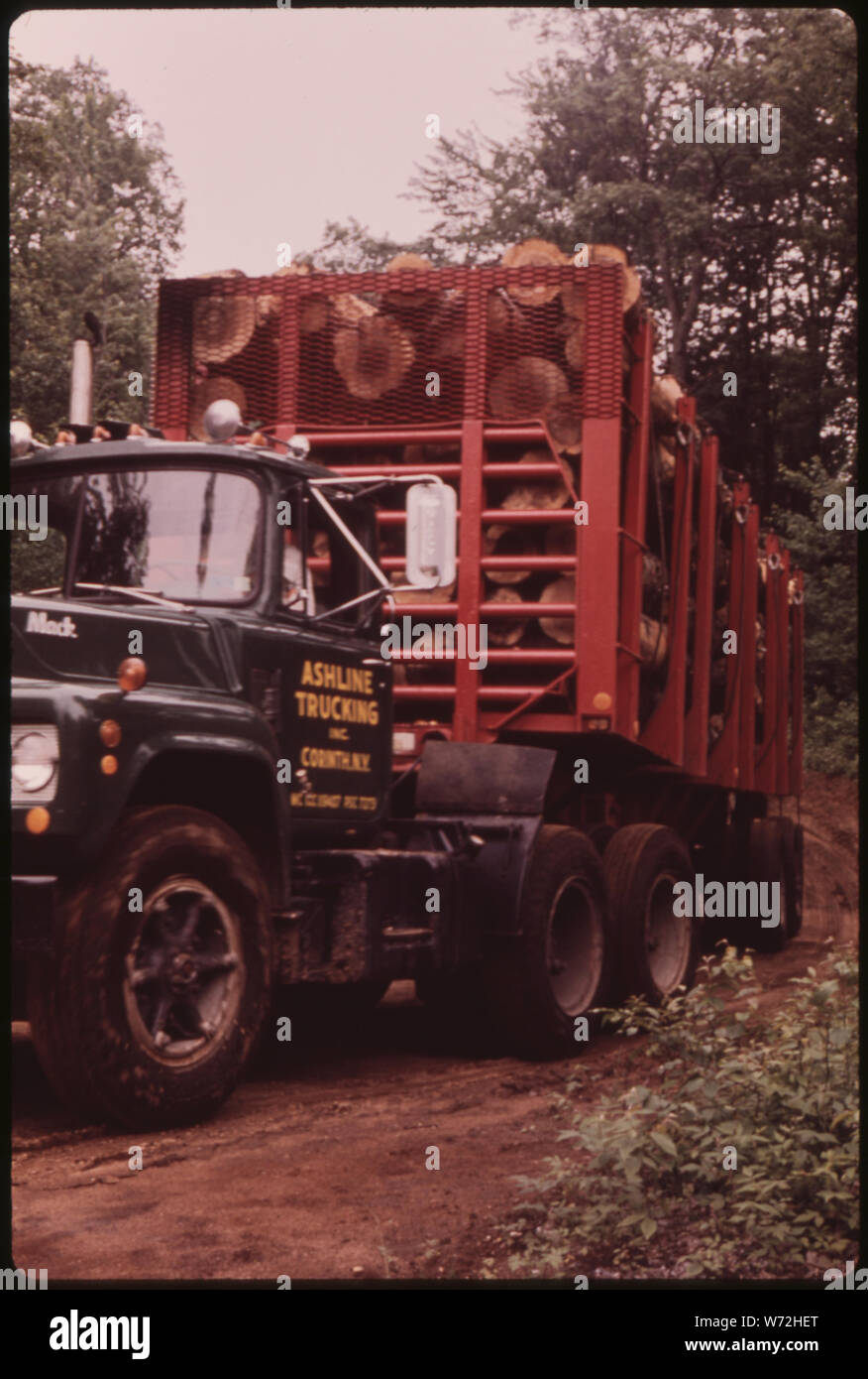 Pulpwood hi-res stock photography and images - Alamy