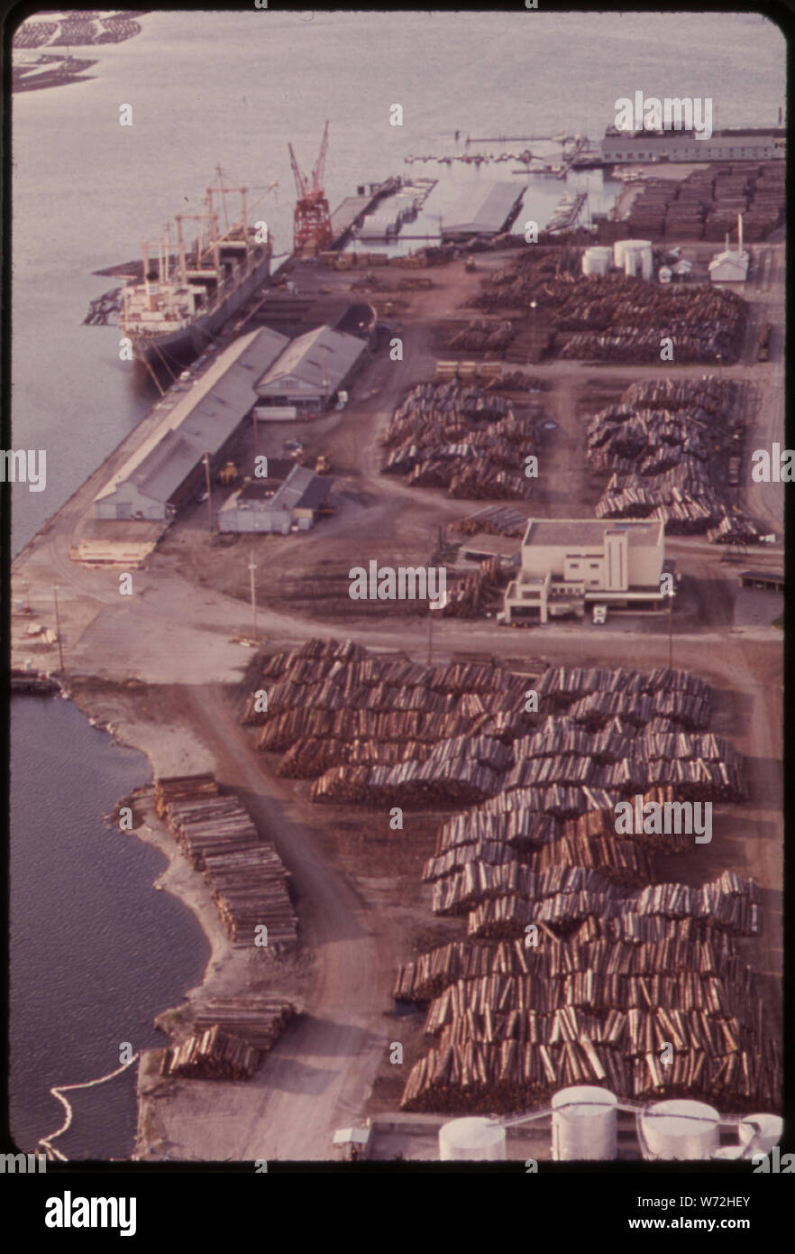 LOG STORAGE AT PORT OF OLYMPIA. THESE LOGS ARE FOR EXPORT TO JAPAN ...