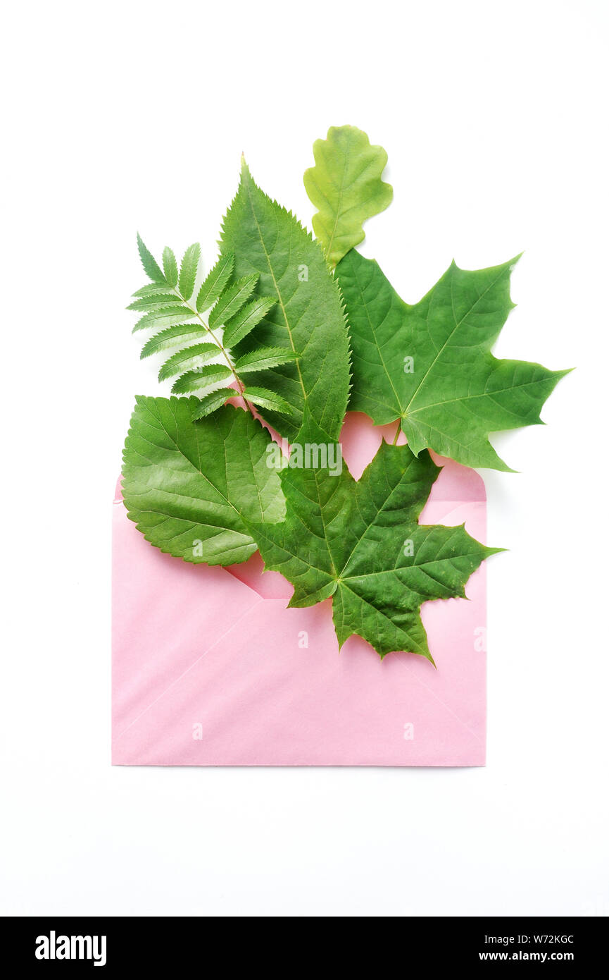 Fall holiday design Cut Out Stock Images & Pictures - Alamy