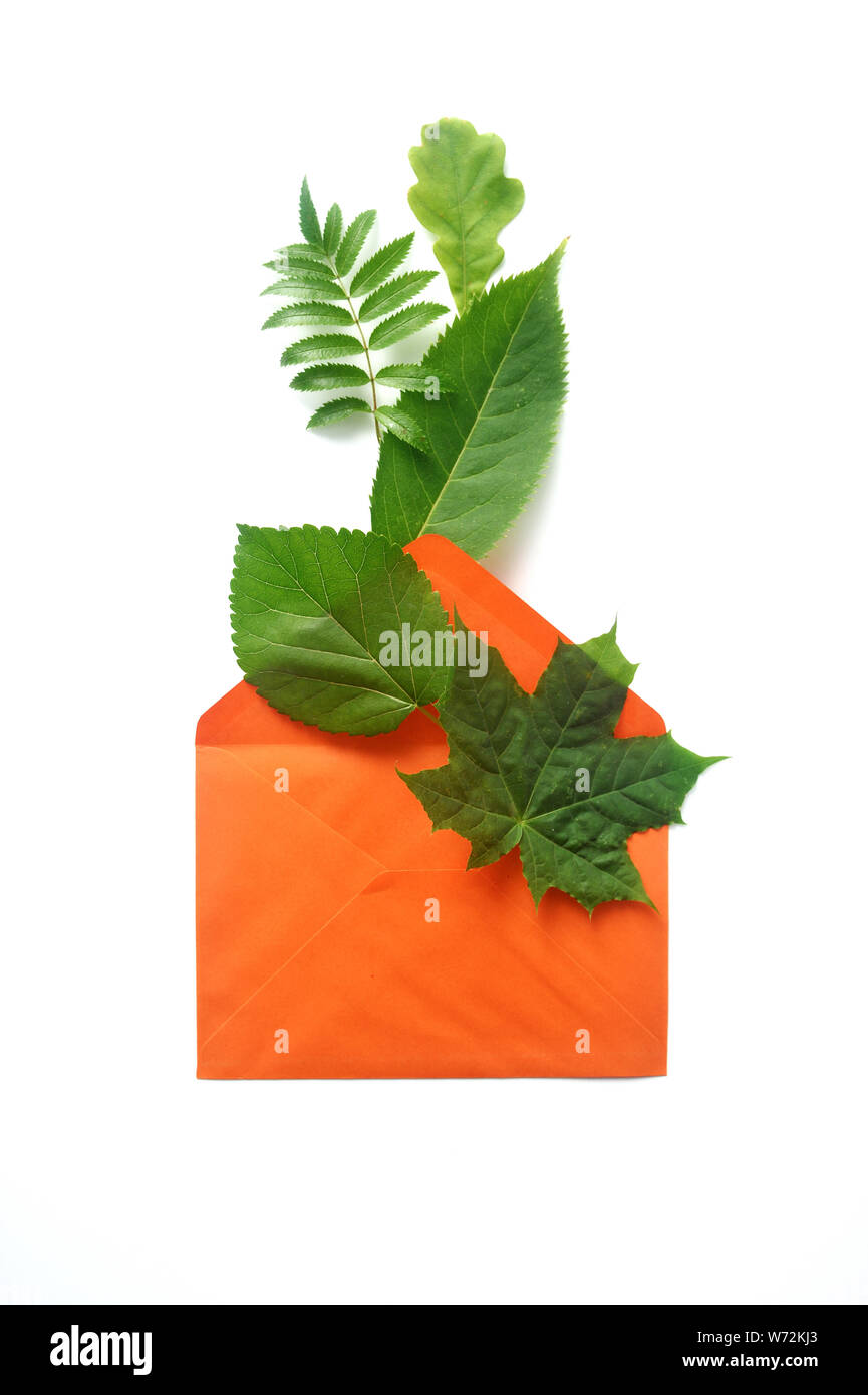 Top view dry fall Cut Out Stock Images & Pictures - Alamy