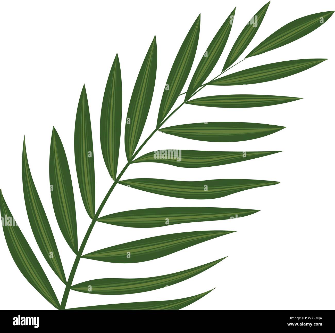 Fern frond leaf icon. Cartoon of fern frond leaf vector icon for web ...
