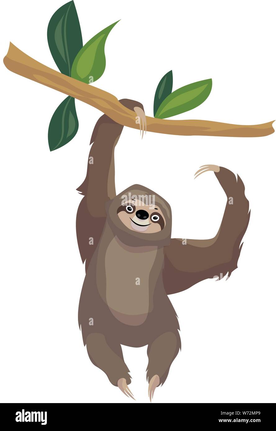 Sloth on tree branch icon. Cartoon of sloth on tree branch vector icon ...