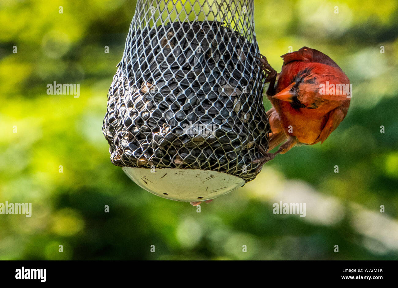 Side sideways hi-res stock photography and images - Alamy