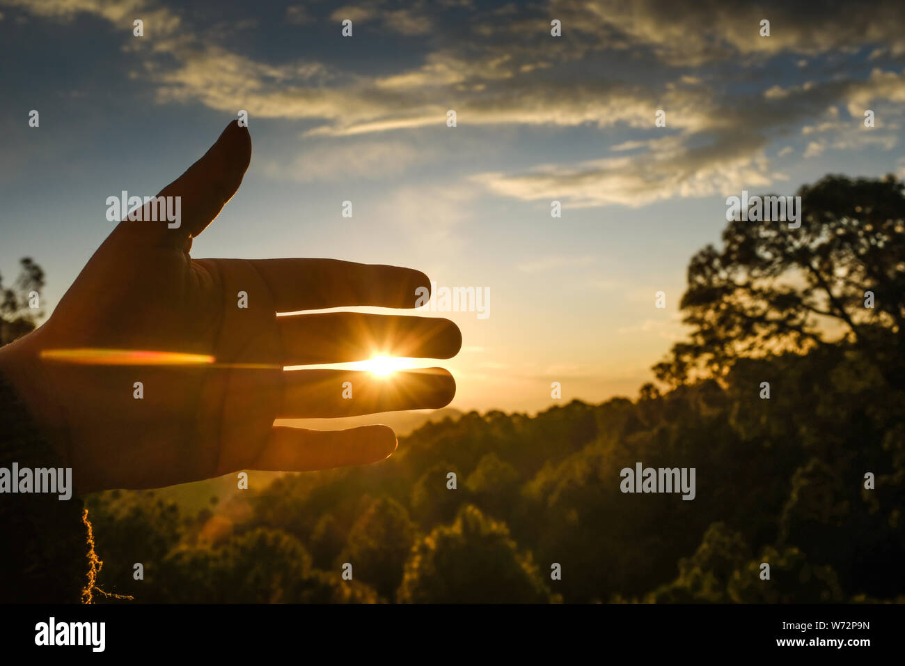 Yellow window sun hi-res stock photography and images - Alamy