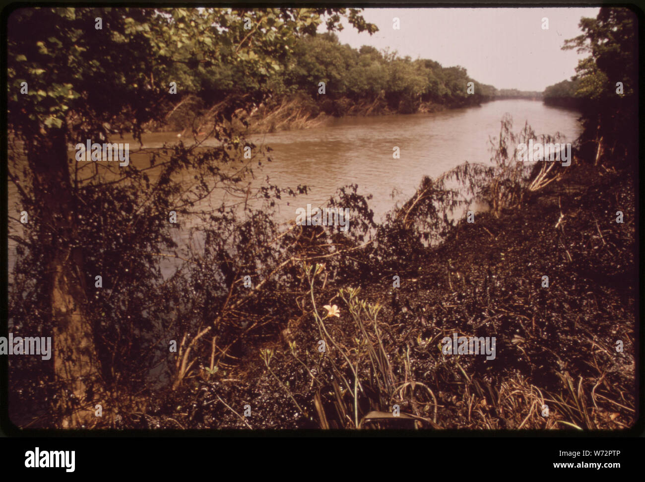 OIL SPILL ON SCHUYKILL RIVER, JULY 5, 1972, FOLLOWING HURRICANE AGNES ...