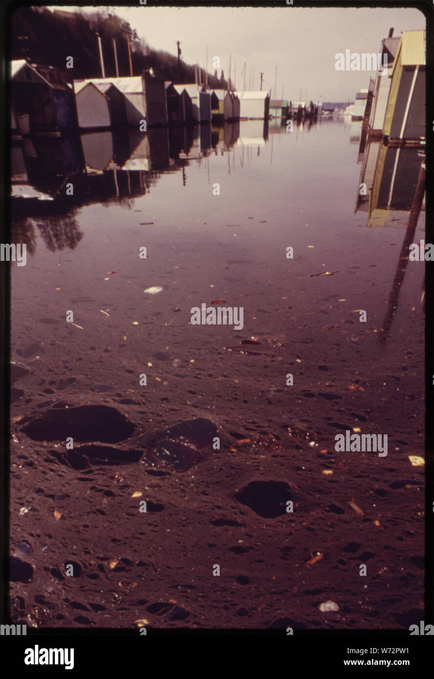 OIL SLUDGE FLOATS ON WATER AT YACHT BASIN Stock Photo - Alamy