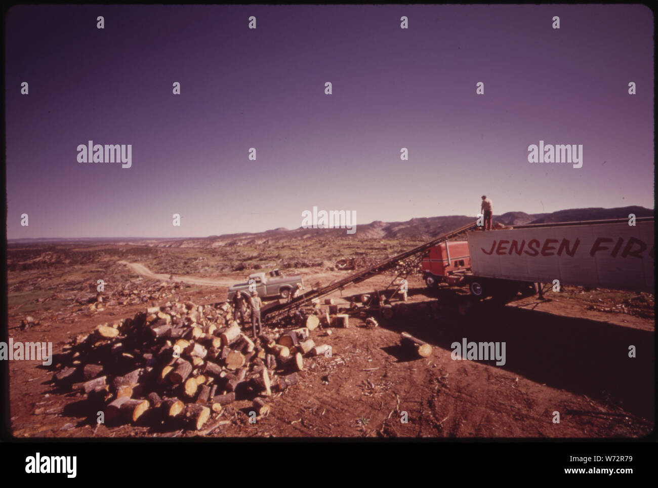 Bulldozers knocking down trees hi-res stock photography and images - Alamy