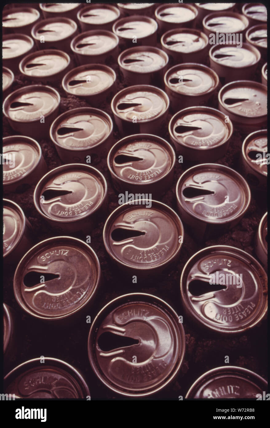 ONE EXAMPLE OF WALL CONSTRUCTION IN EXPERIMENTAL HOUSING USING EMPTY ...