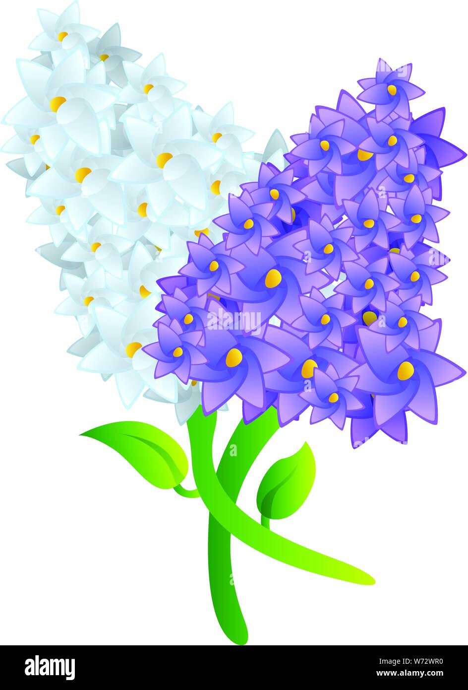Lilac bouquet icon. Cartoon of lilac bouquet vector icon for web design ...