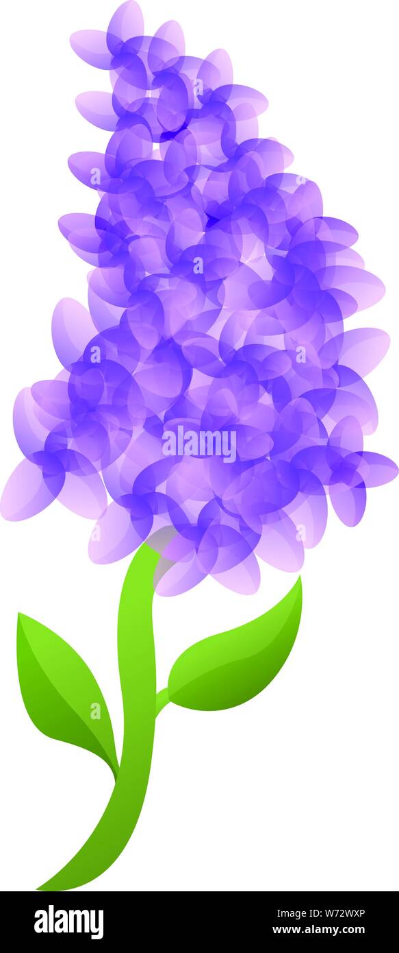 Decoration lilac icon. Cartoon of decoration lilac vector icon for web ...