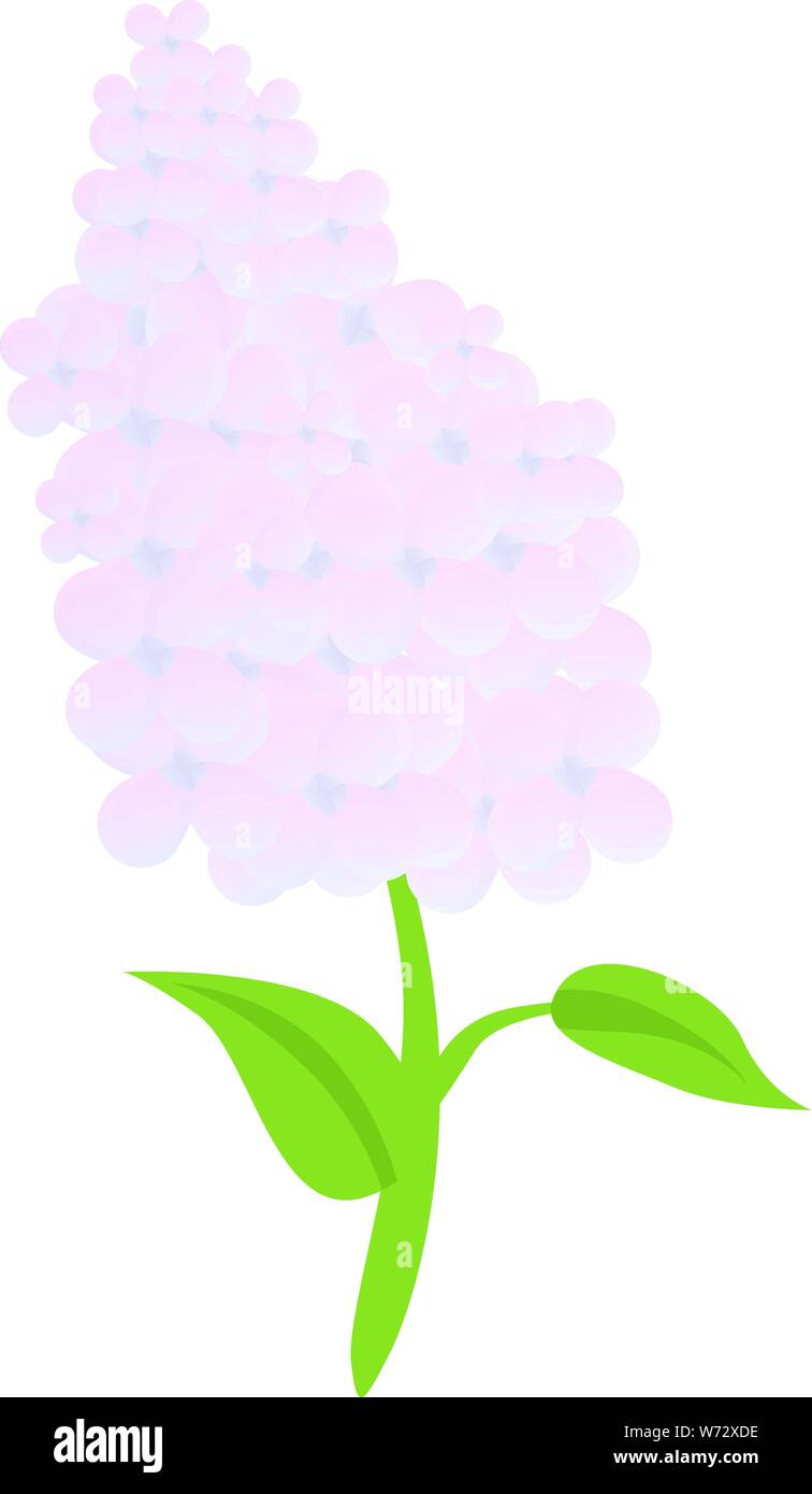Colorful lilac icon. Cartoon of colorful lilac vector icon for web ...