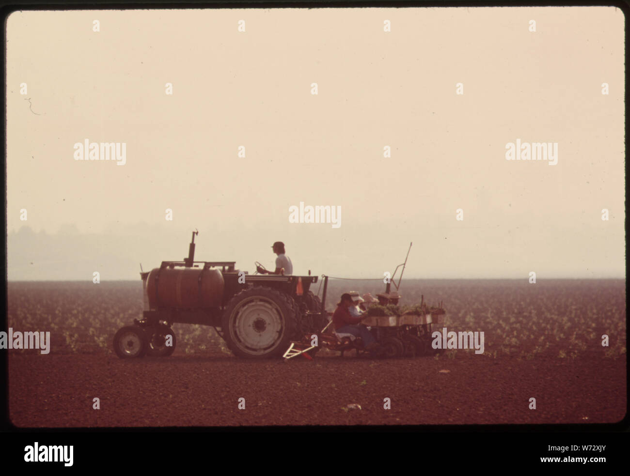 Planting a crop on oxnard plain hi-res stock photography and images - Alamy