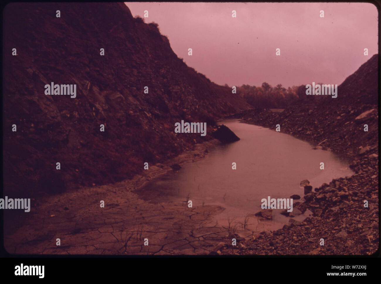 POND OF STAGNANT WATER REMAINS AFTER STRIPPING IN AN APPARENT VIOLATION ...