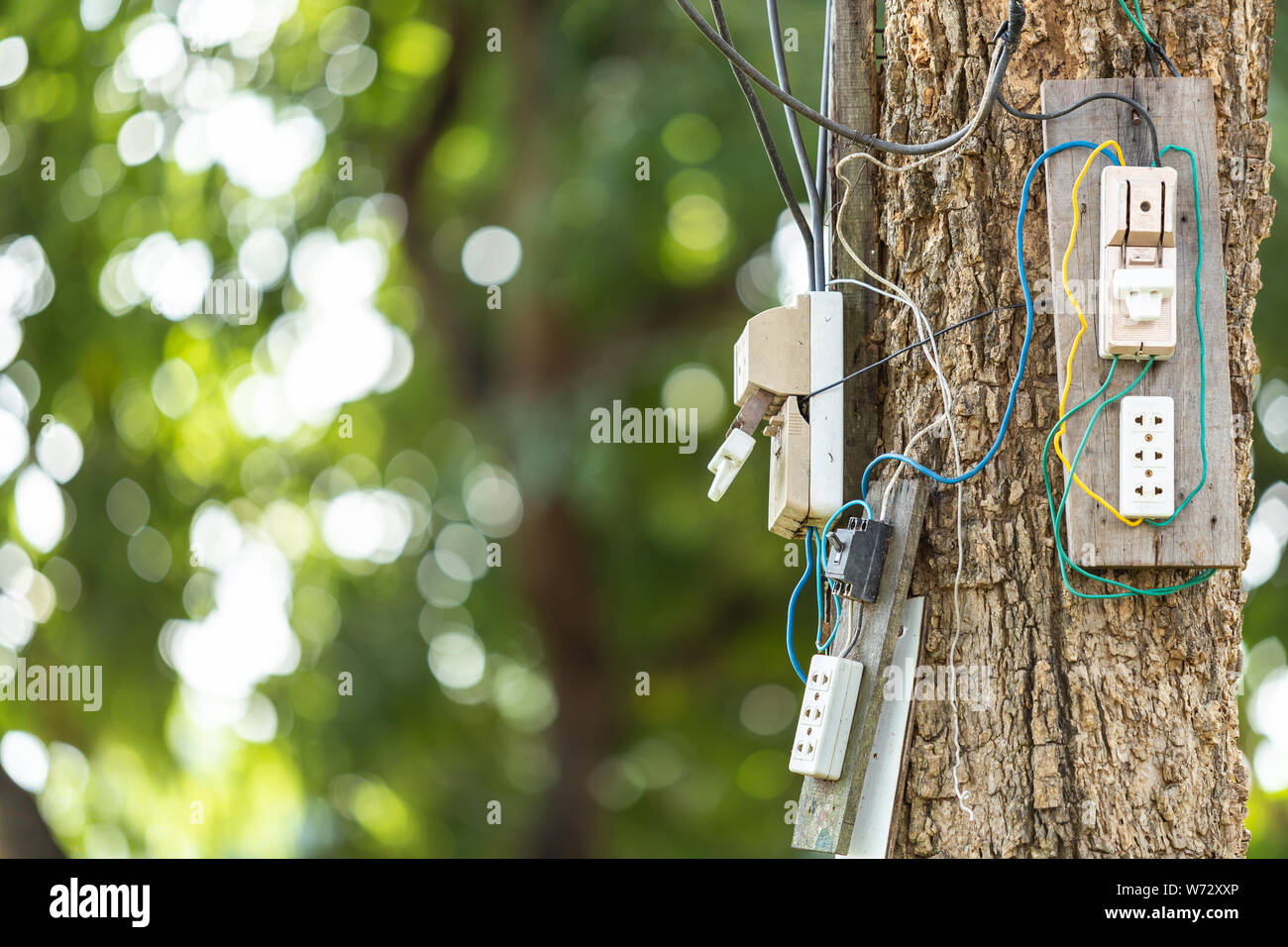 Dangerous electric cable and equipment set up on the tree in the park ...