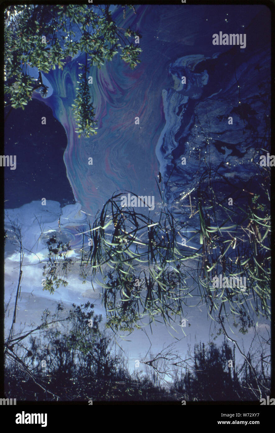 See fiche numbers 84 hi-res stock photography and images - Alamy