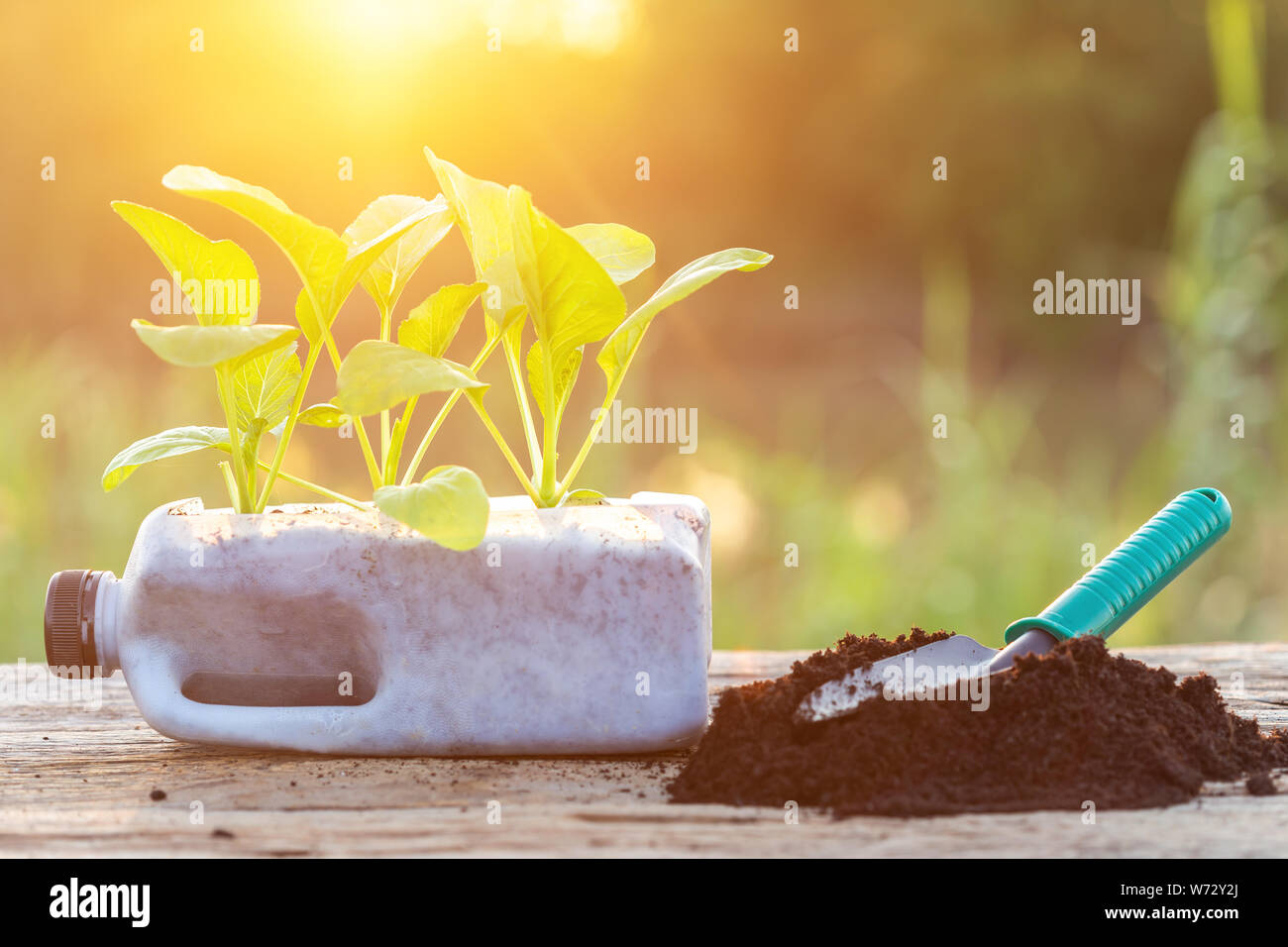Plastic recycle concept : People planting vegetable in plastic bottle ...