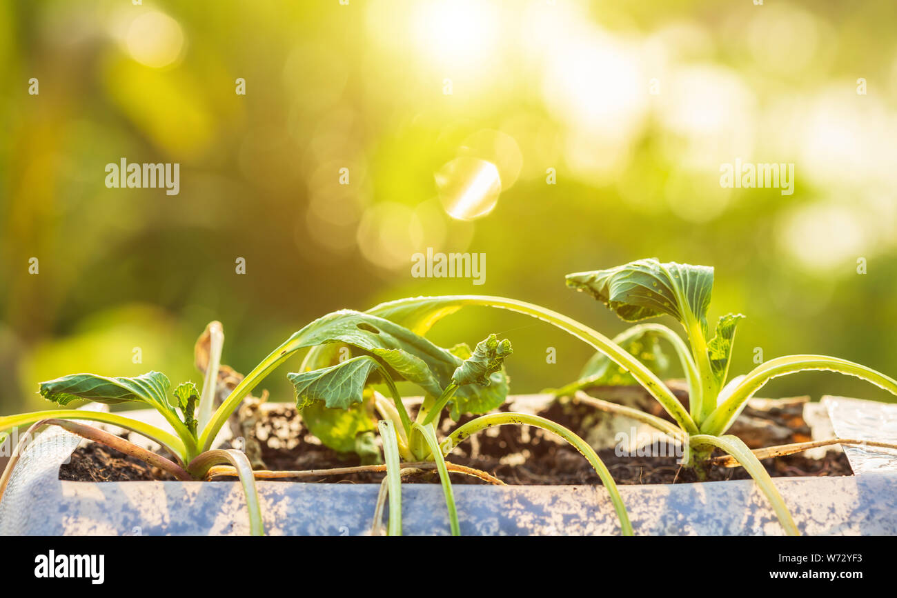 Garden recycle table hi-res stock photography and images - Alamy