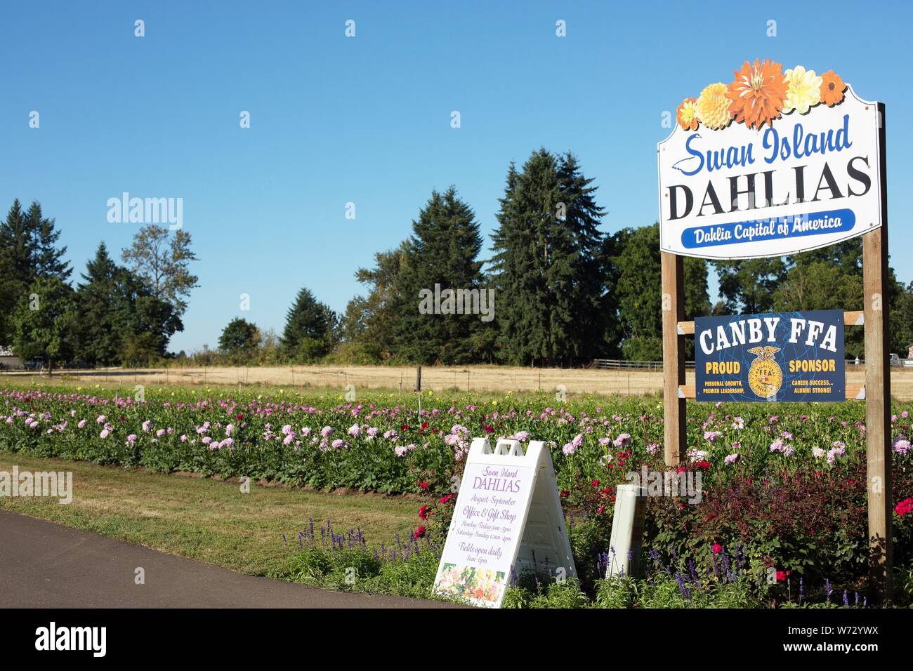 The sign at the entrance to Swan Island Dahlias in Canby, Oregon, USA ...