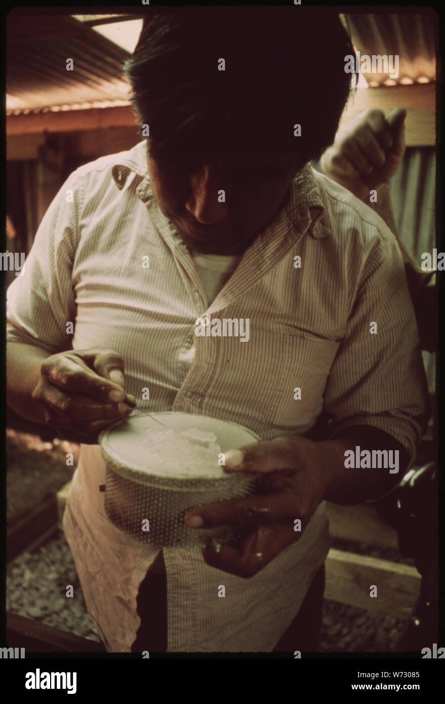 Cui ui fish hi-res stock photography and images - Alamy