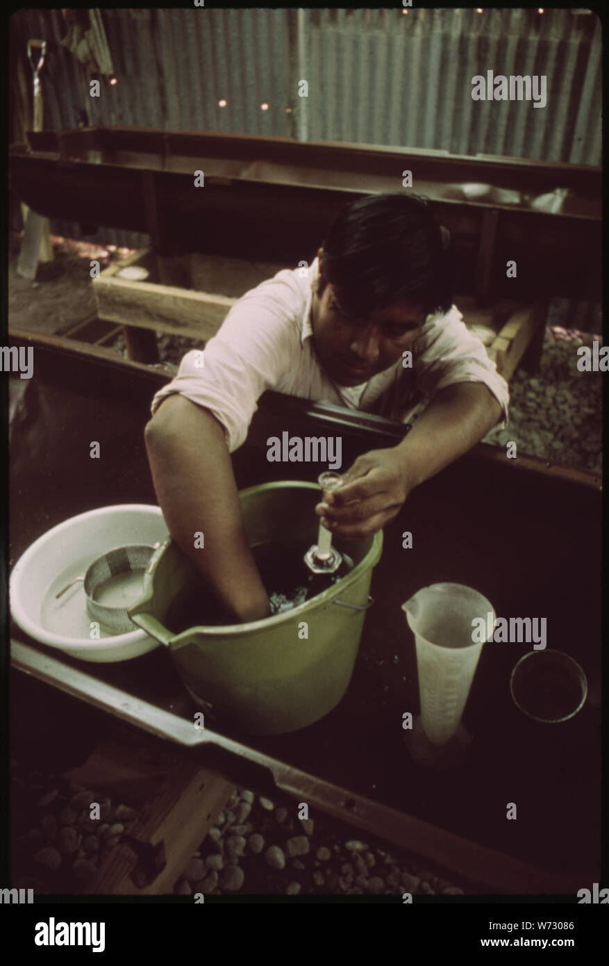 RALPH O'NEIL, A PAIUTE INDIAN, IS ABOUT TO COUNT A SAMPLE BATCH OF CUI ...