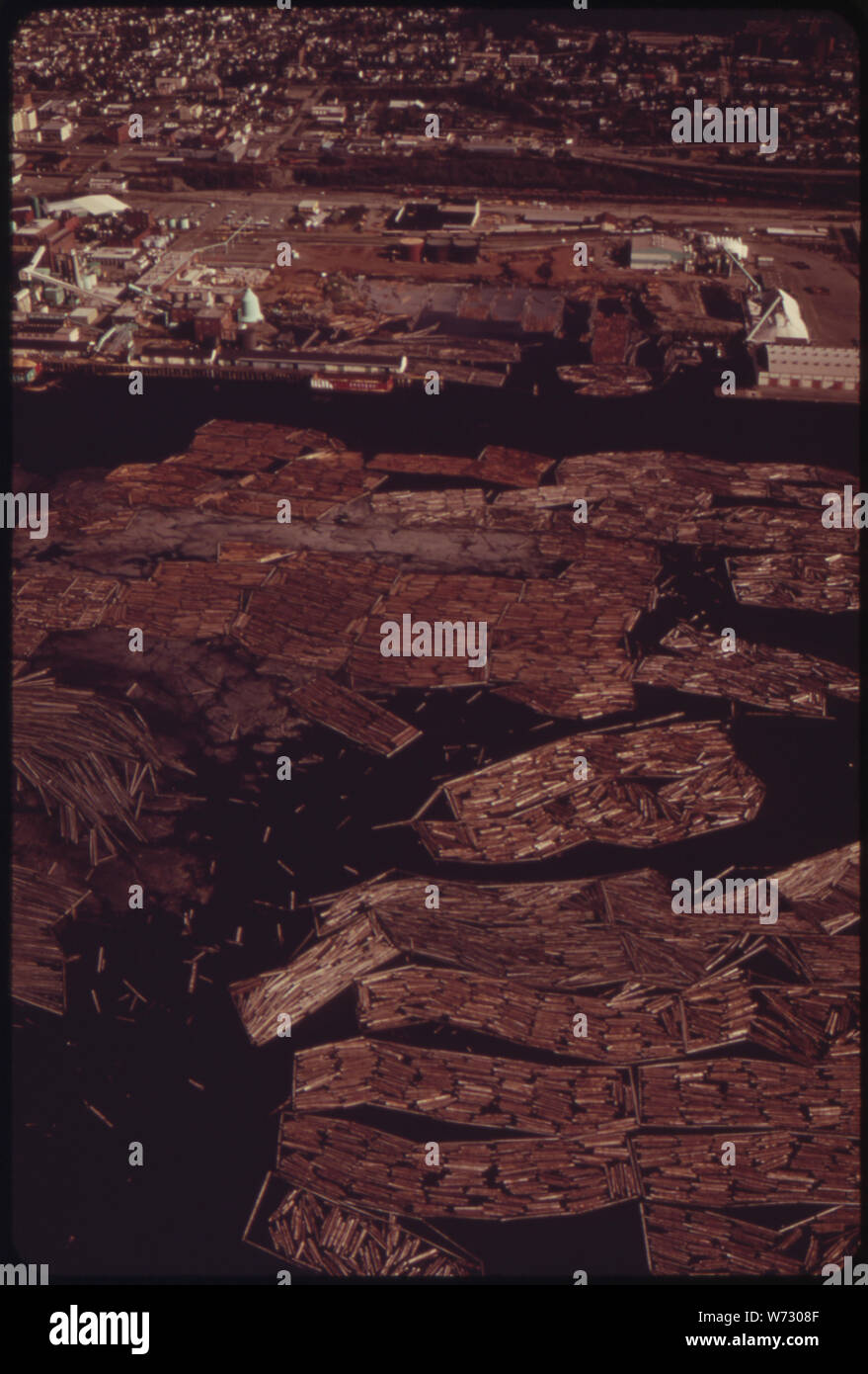 Rafted logs in bellingham bay hi-res stock photography and images - Alamy