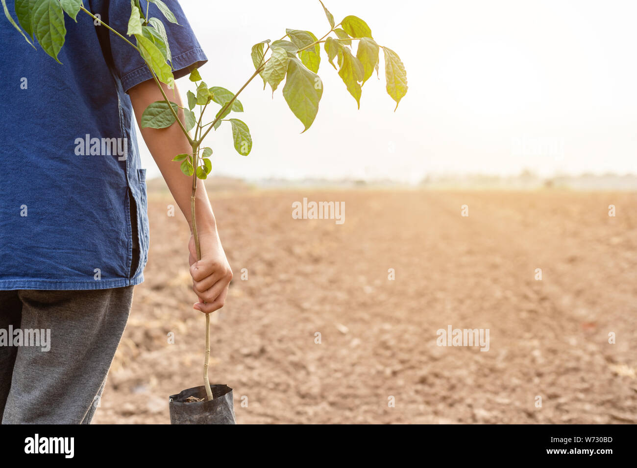 Young farmer holding small tree in empty land for planting. Environment ...