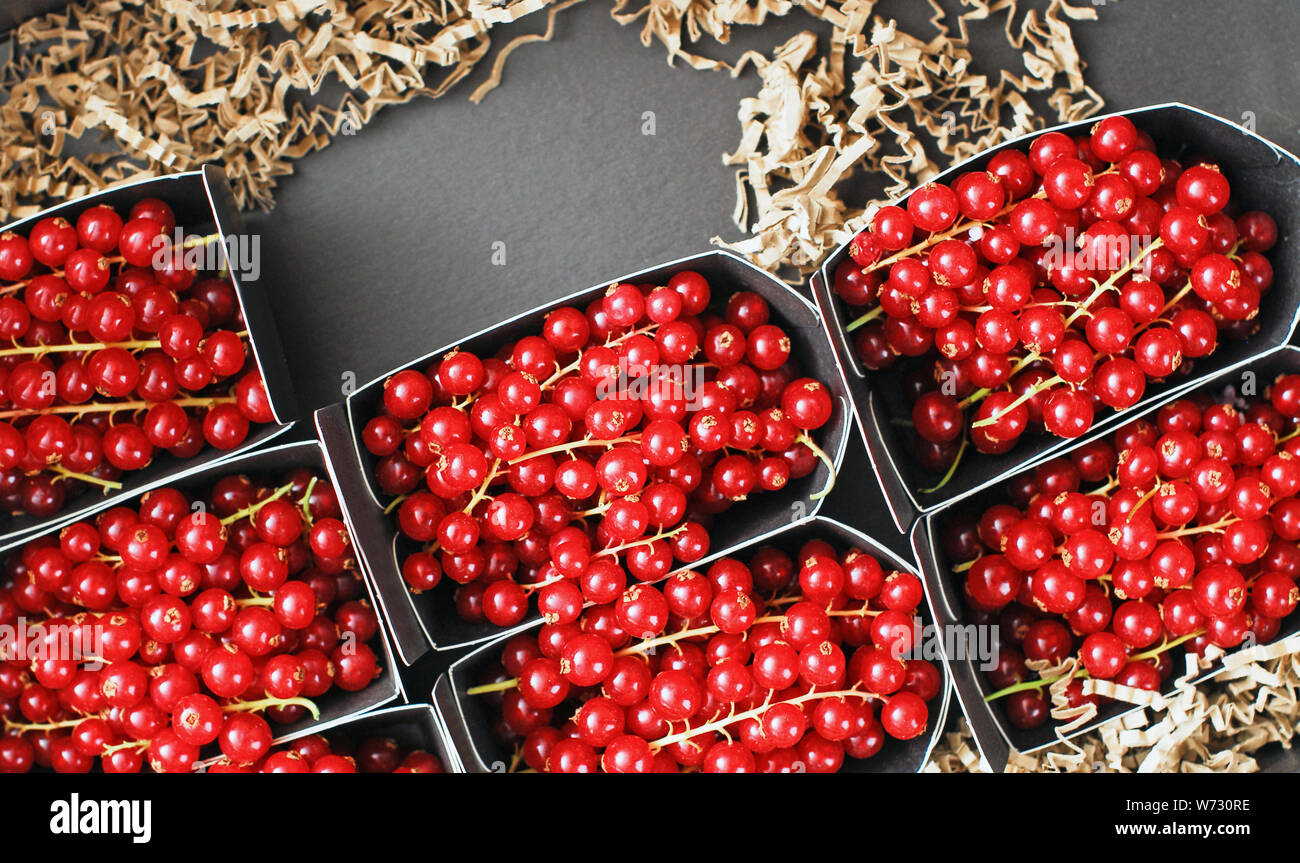 Red delicious currants packed in small boxes for fruit market Stock ...