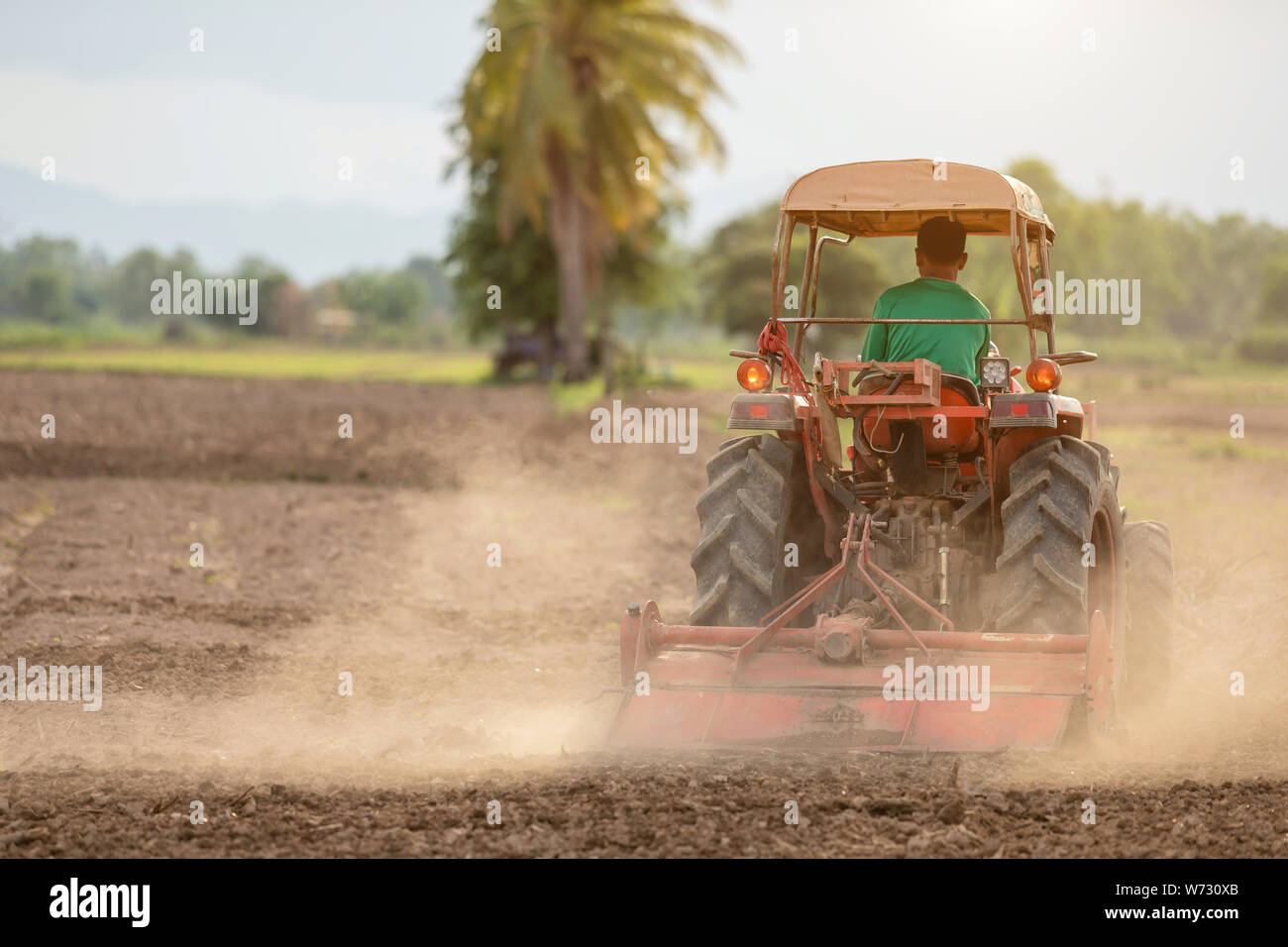 Thai farmer on big tractor in the land to prepare the soil for rice ...