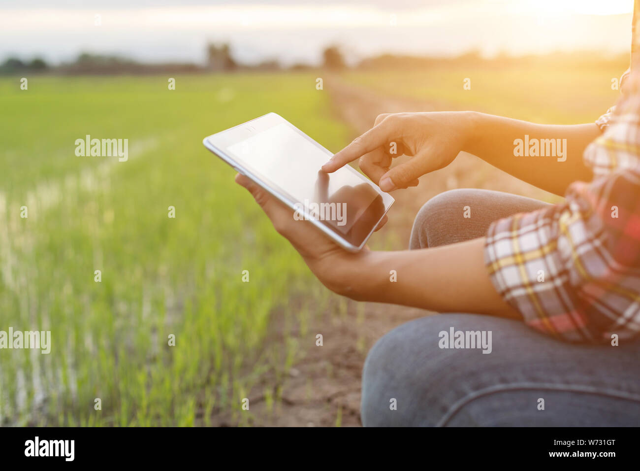 Agriculture technology app hi-res stock photography and images - Alamy