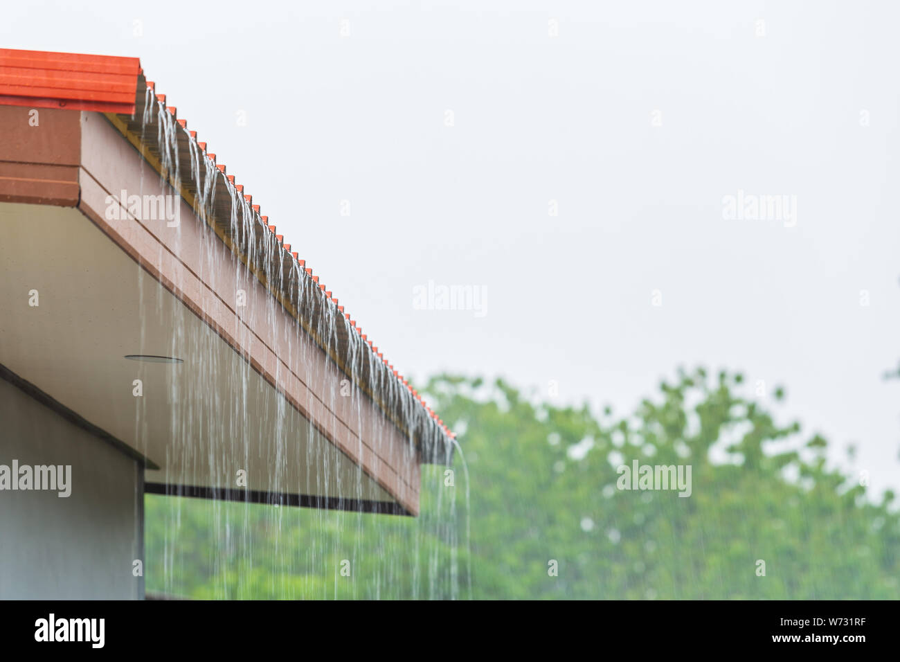 Rain flowing down from the roof house in rainy season Stock Photo - Alamy