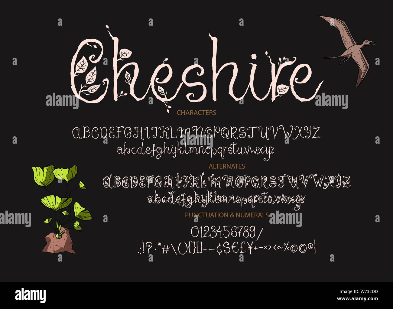 Decorative script font. Alphabet calligraphy signs. Letter vector set ...