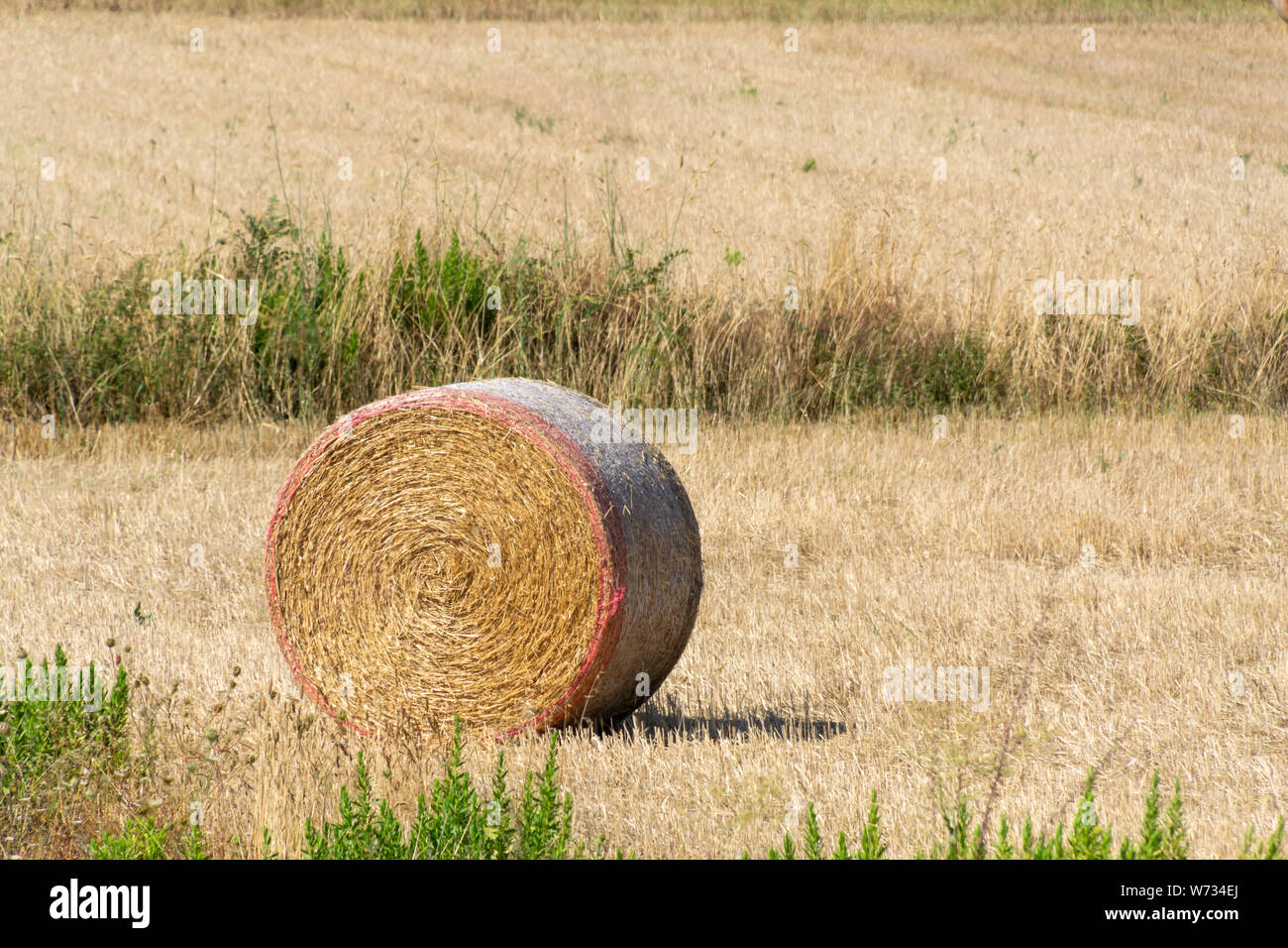 Roll yield hi-res stock photography and images - Alamy