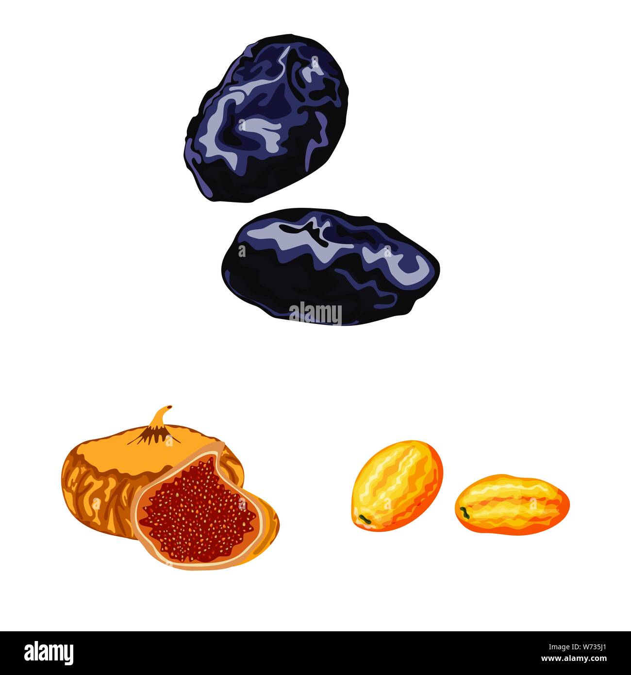 Vector illustration of fruit and dried icon. Collection of fruit and ...