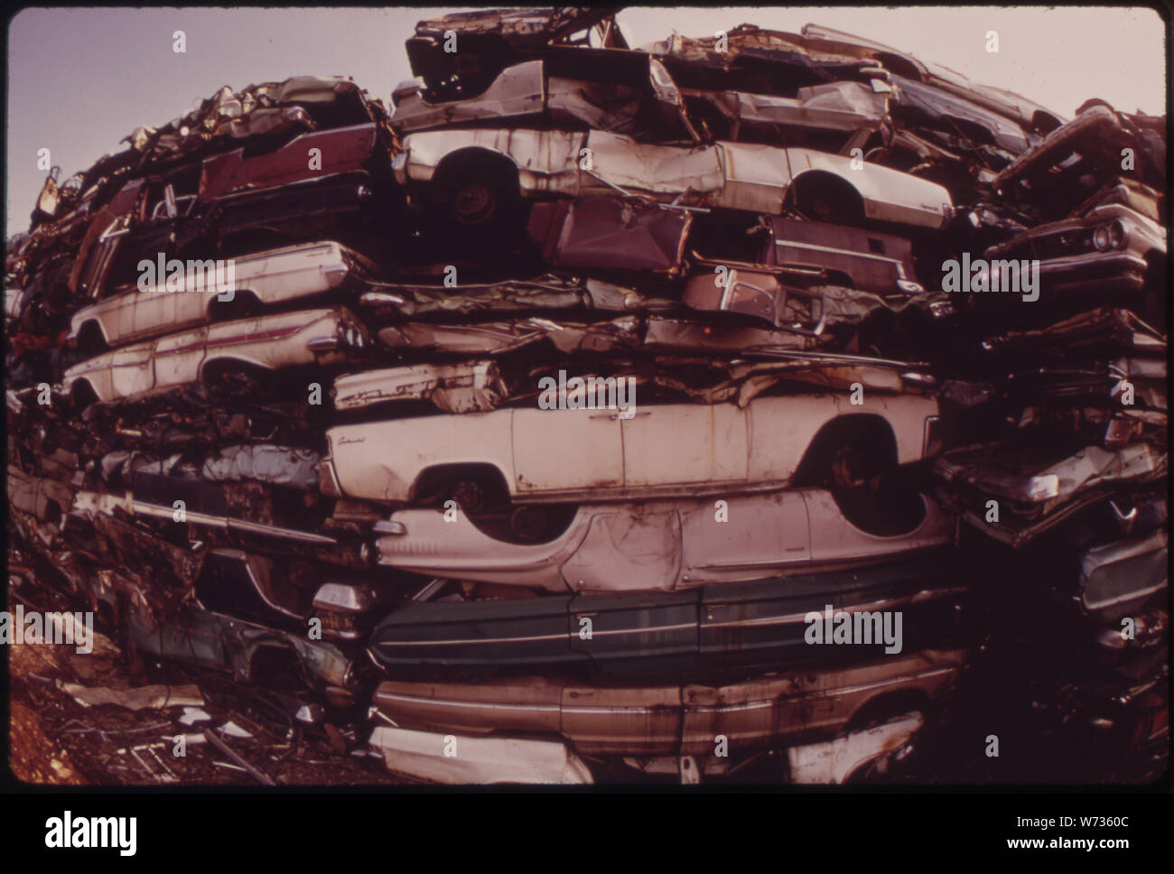 STACKED CARS IN CITY JUNKYARD WILL BE USED FOR SCRAP Stock Photo - Alamy