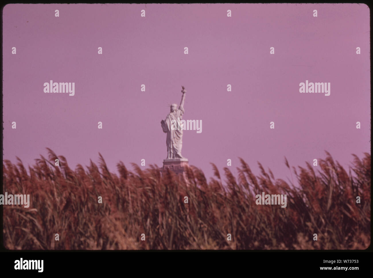 STATUE OF LIBERTY SEEN FROM THE NEW JERSEY FLATS Stock Photo - Alamy