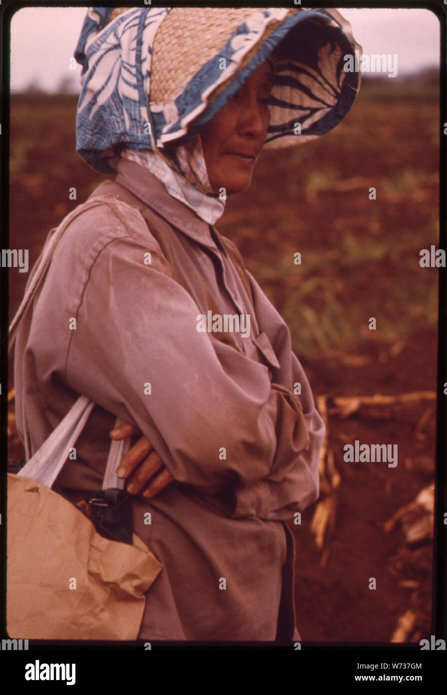 Customarily hi-res stock photography and images - Alamy