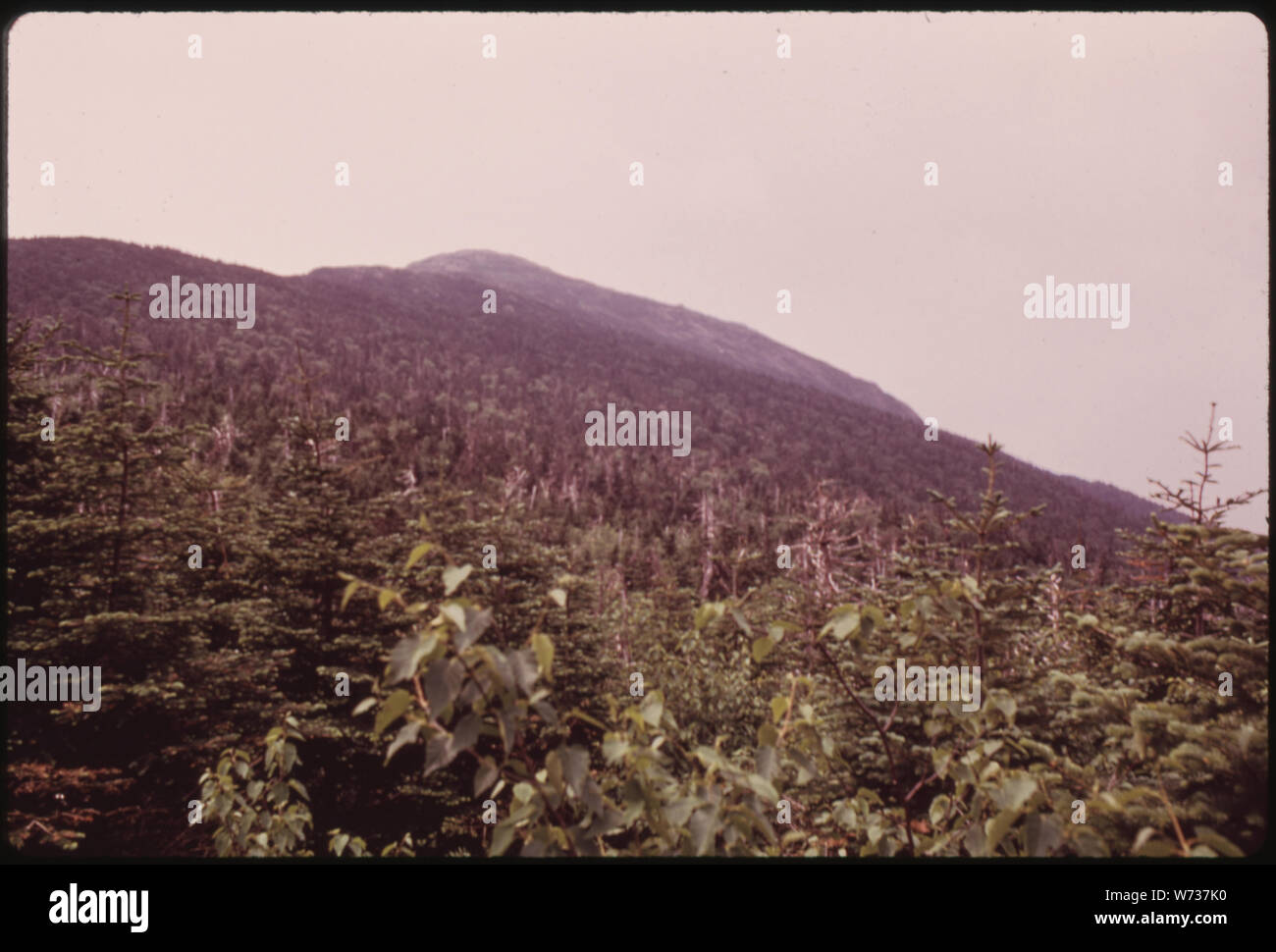 SUMMIT OF MOUNT MARCY, HIGHEST PEAK IN NEW YORK STATE FROM MAIN TRAIL ...