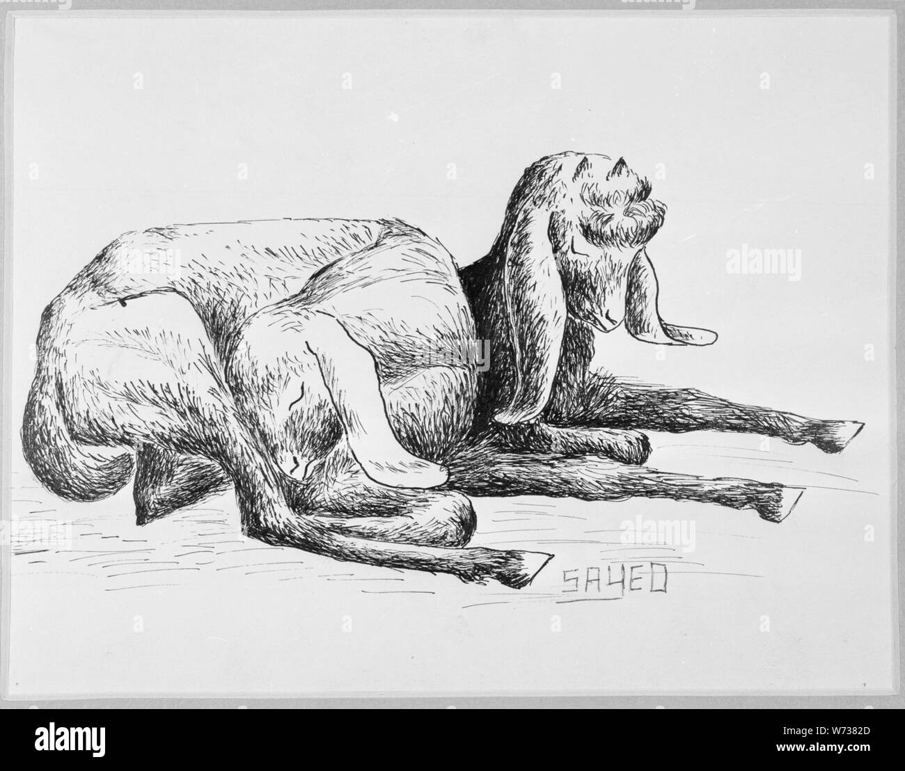 Small farm illustration Black and White Stock Photos & Images - Alamy