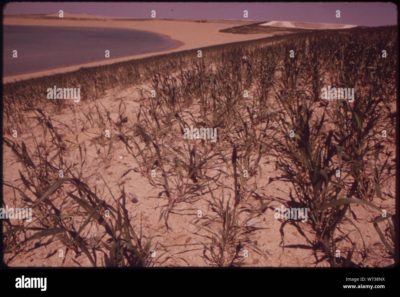 Sludge pits hi-res stock photography and images - Alamy