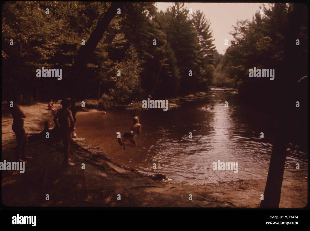Habitat near water sources hi-res stock photography and images - Alamy