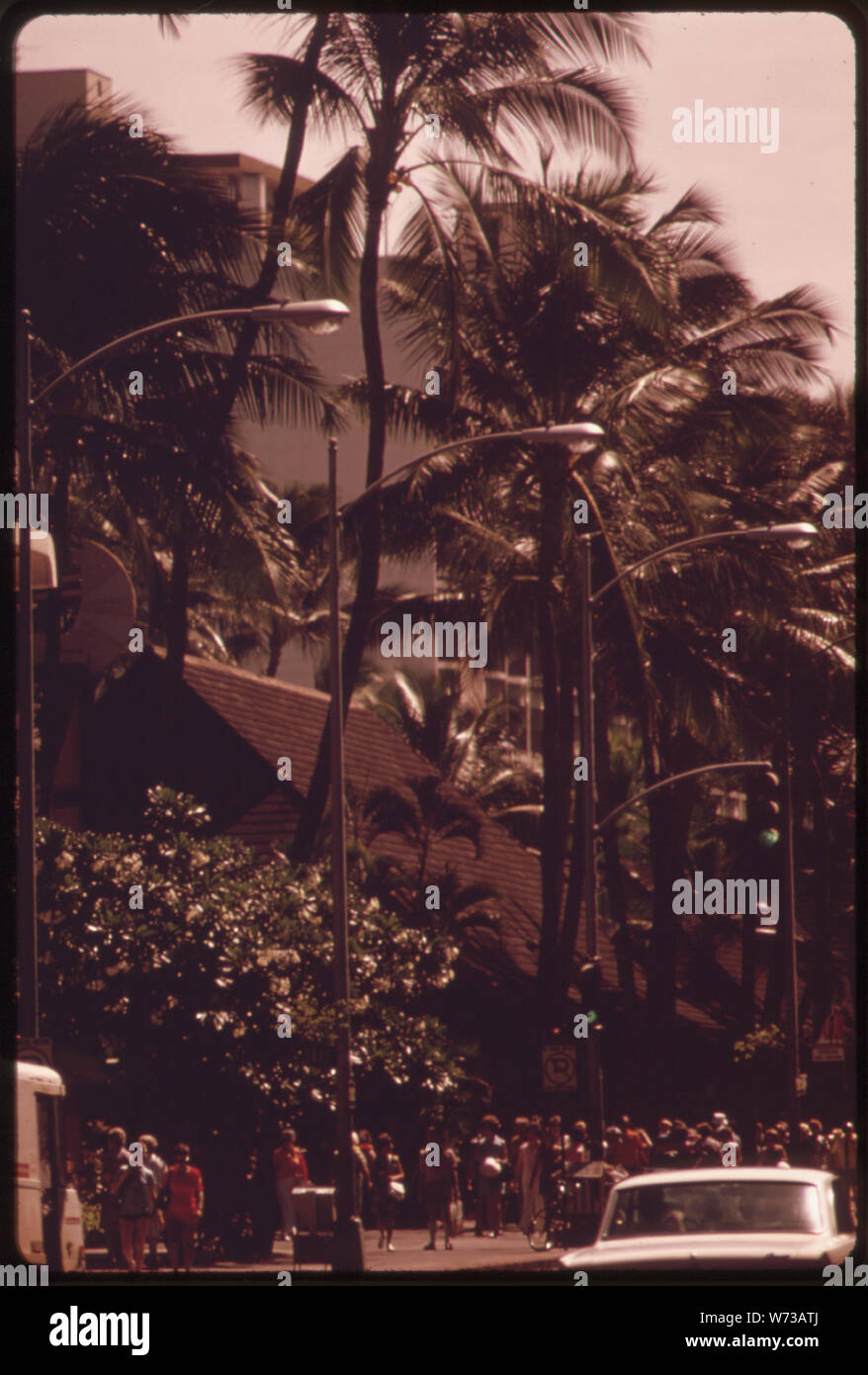 TOURISTS THRONG KALAKAUA AVENUE, THE MAIN STREET OF THE POPULAR WAIKIKI ...