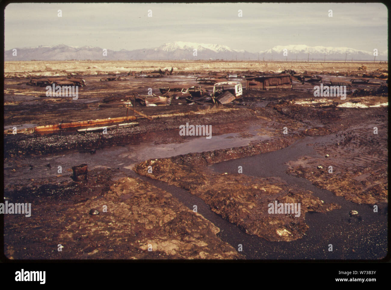 TRENCHES AND DIKES ARE SHOWN IN THE POND WHICH HELPED TO DIRECT THE ...