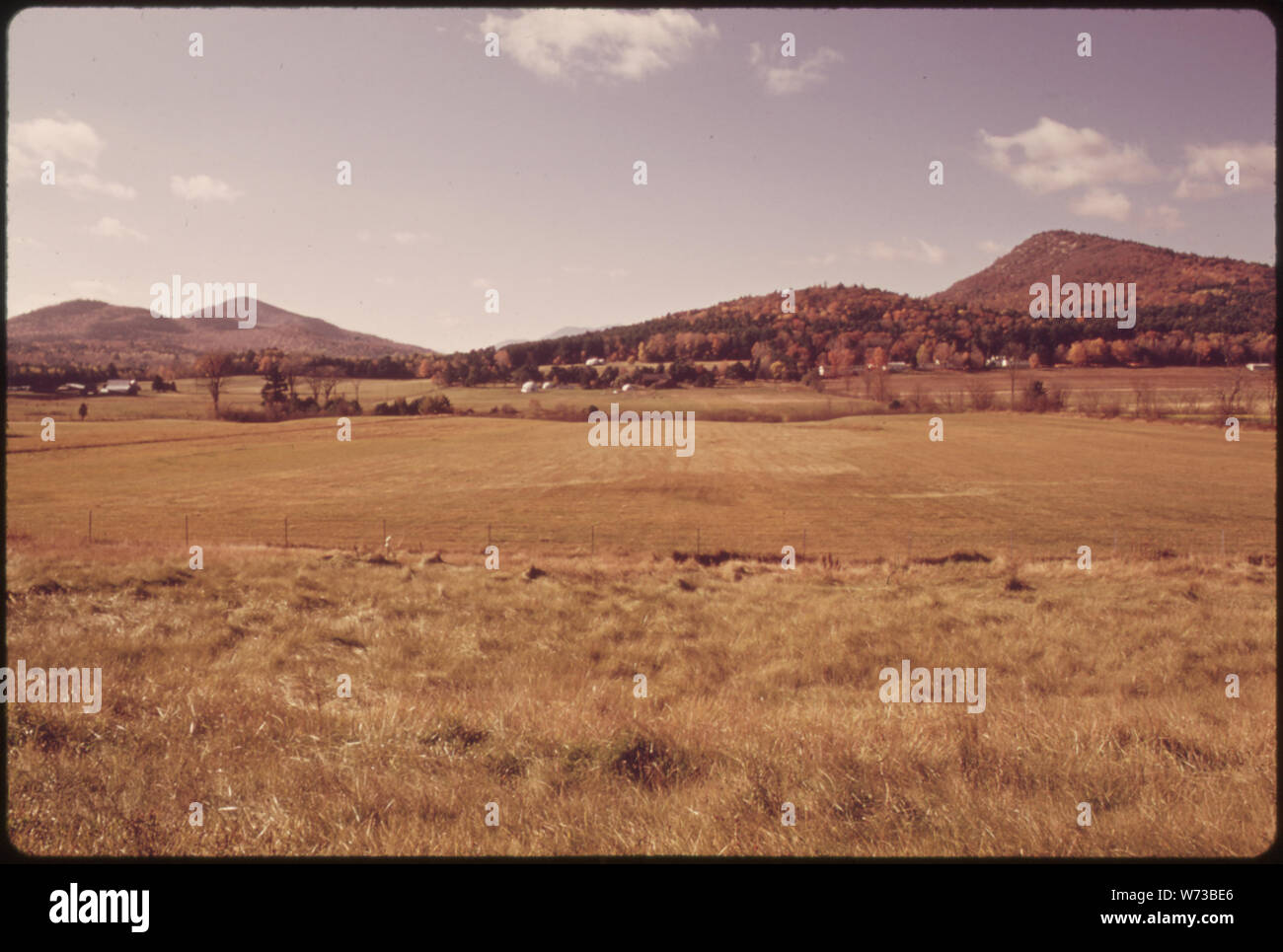 TYPICAL FARM FIELD NEAR THE ADIRONDACK FOREST PRESERVE WHERE SOILS ...