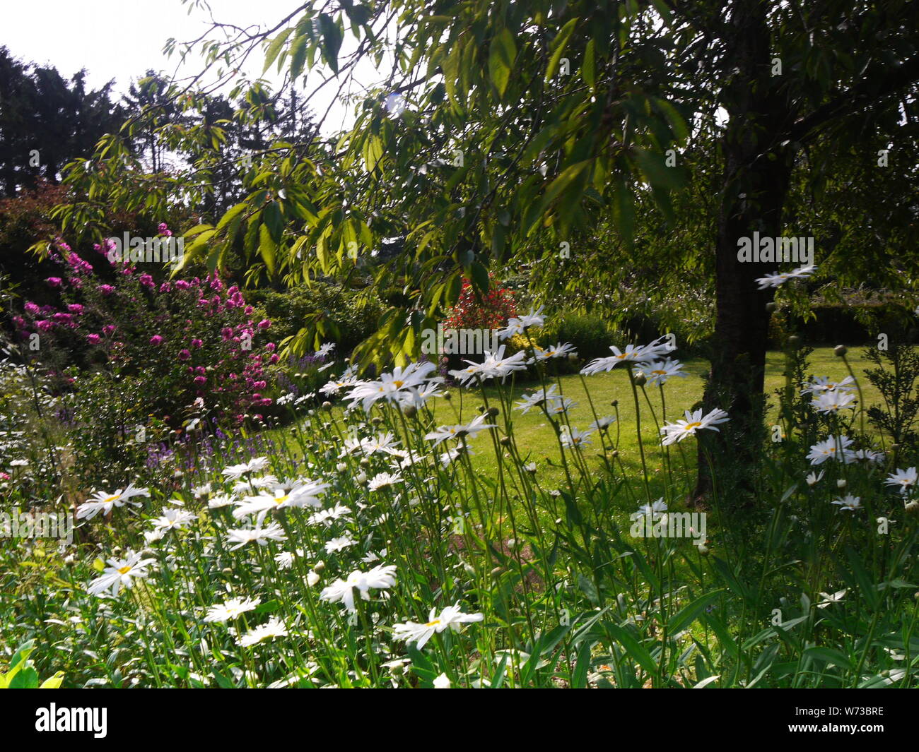 Down Grange Walled Garden Basingstoke Stock Photo - Alamy