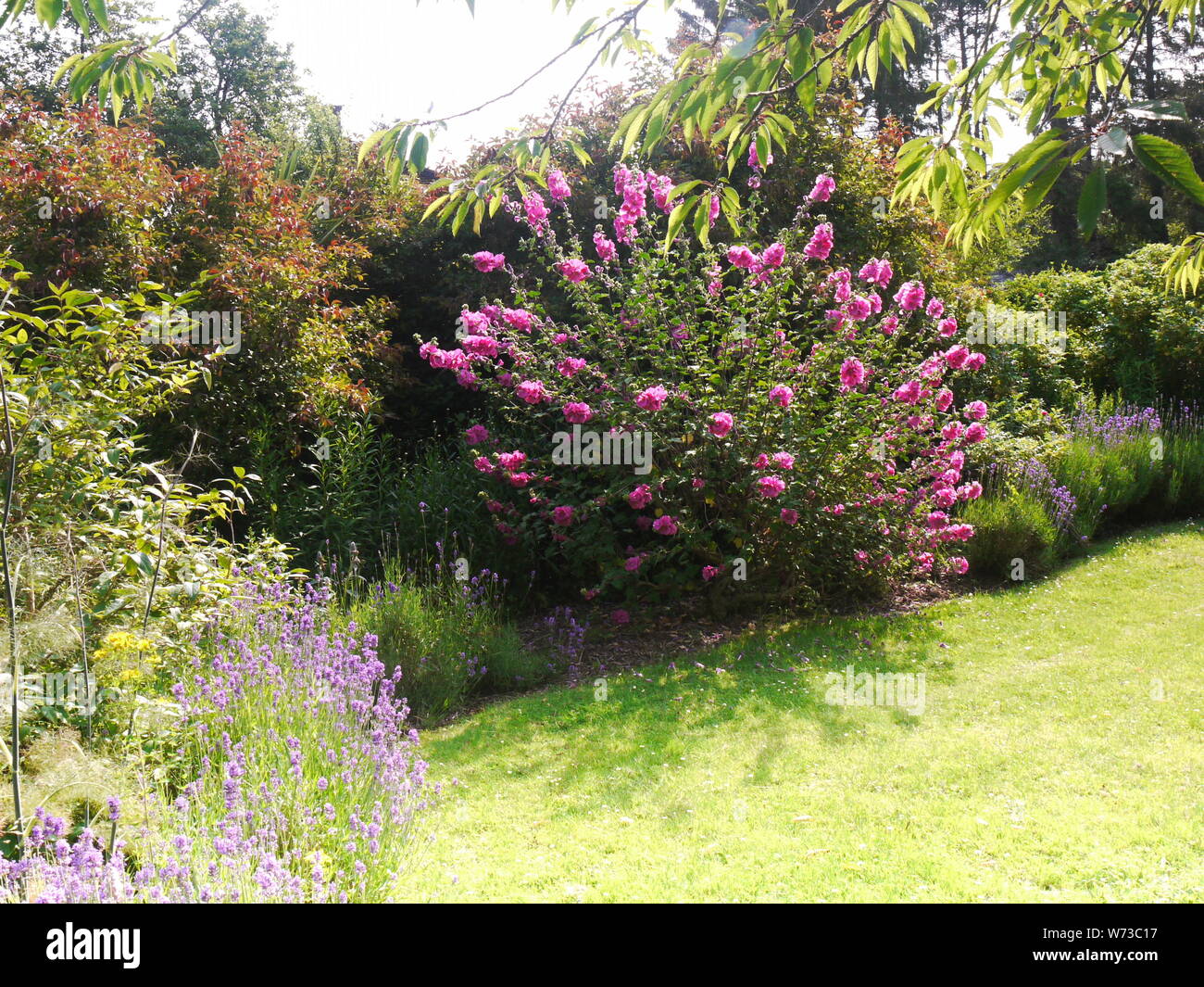 Down grange hi-res stock photography and images - Alamy