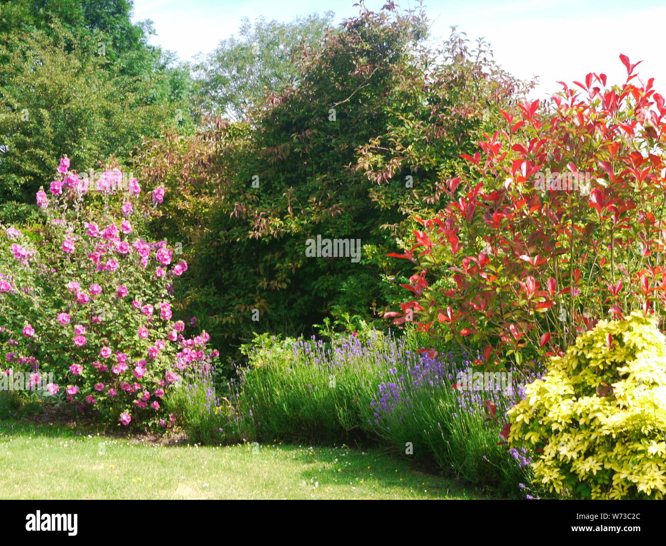 Down Grange Walled Garden Basingstoke Stock Photo - Alamy