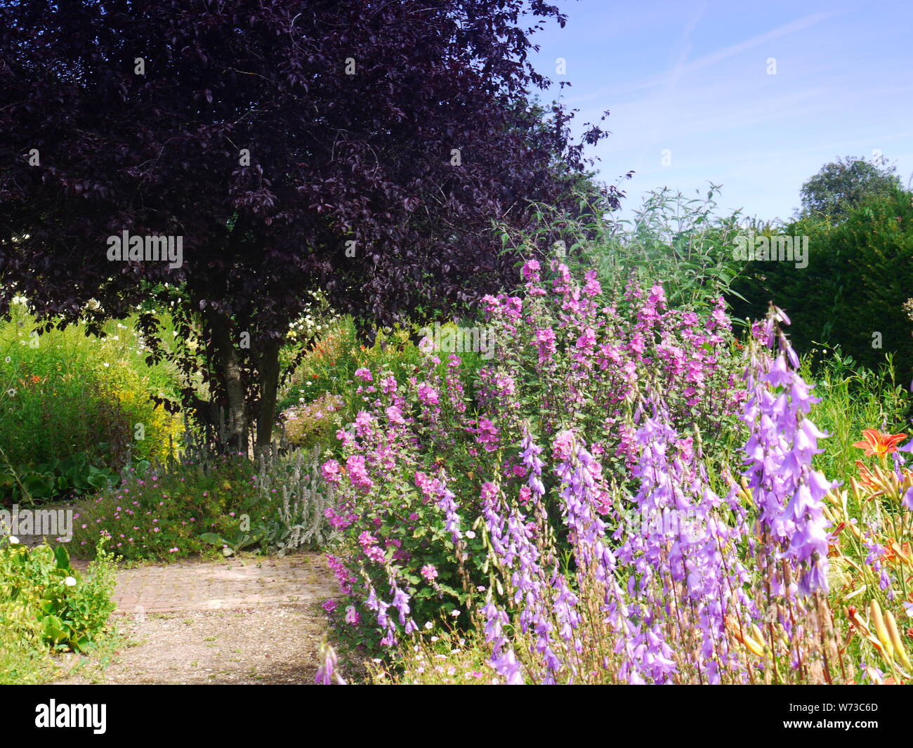 Down Grange Walled Garden Basingstoke Stock Photo - Alamy