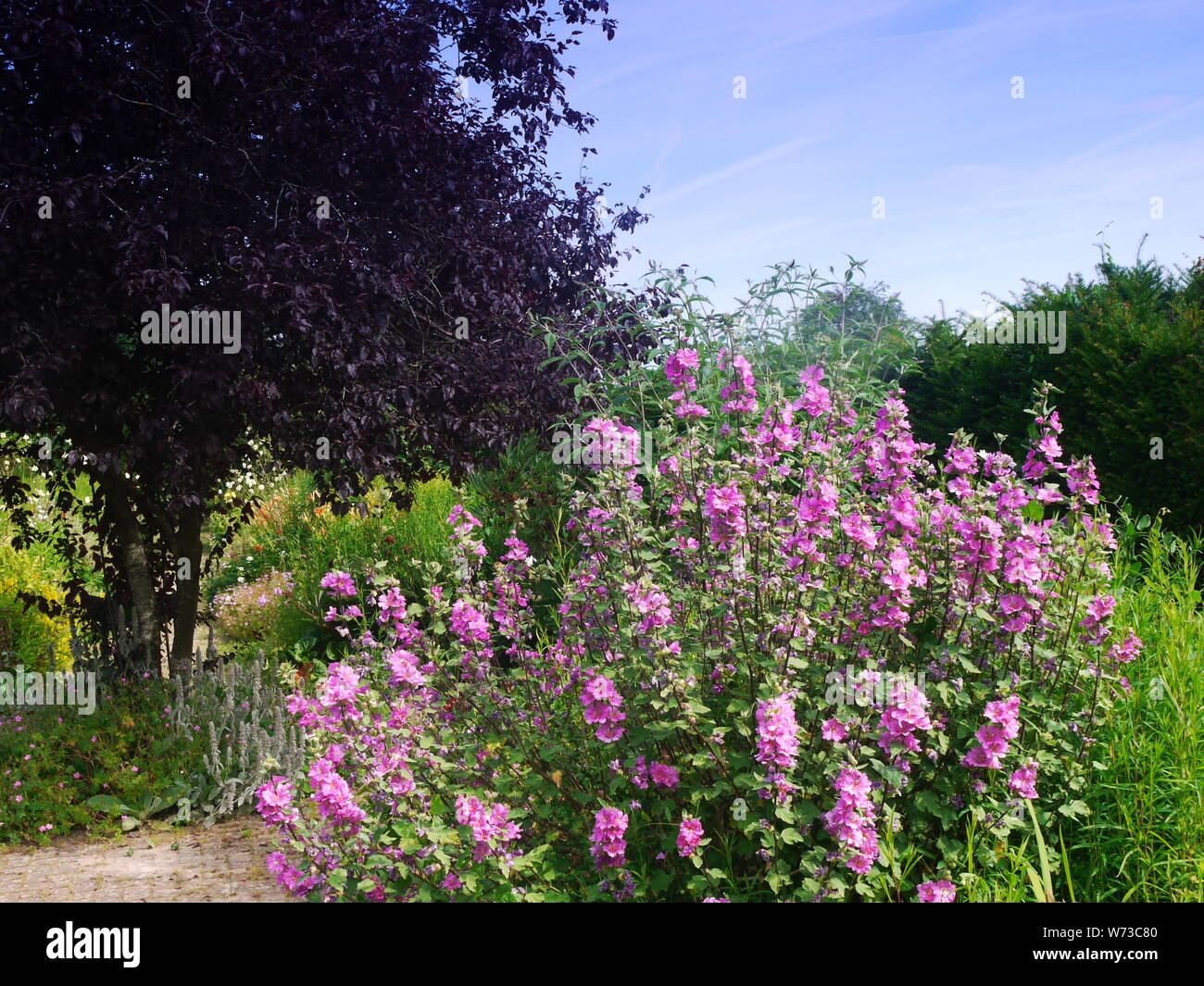 Down Grange Walled Garden Basingstoke Stock Photo - Alamy