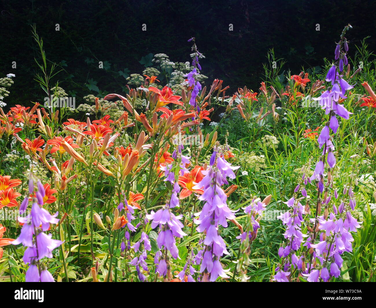 Down Grange Walled Garden Basingstoke Stock Photo - Alamy