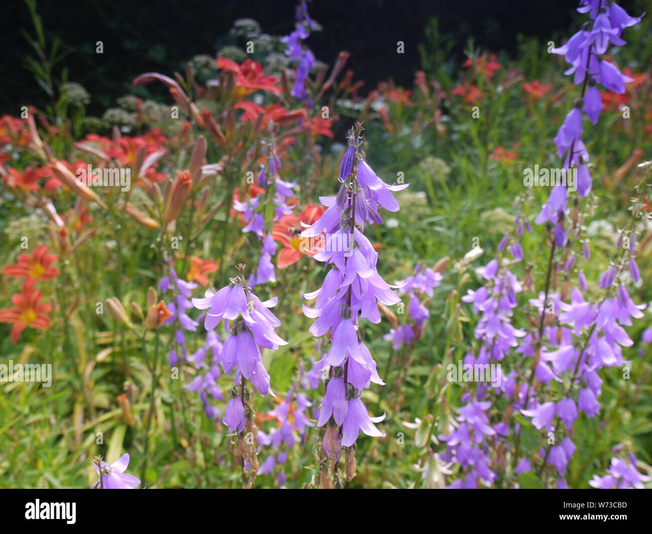 Down Grange Walled Garden Basingstoke Stock Photo - Alamy